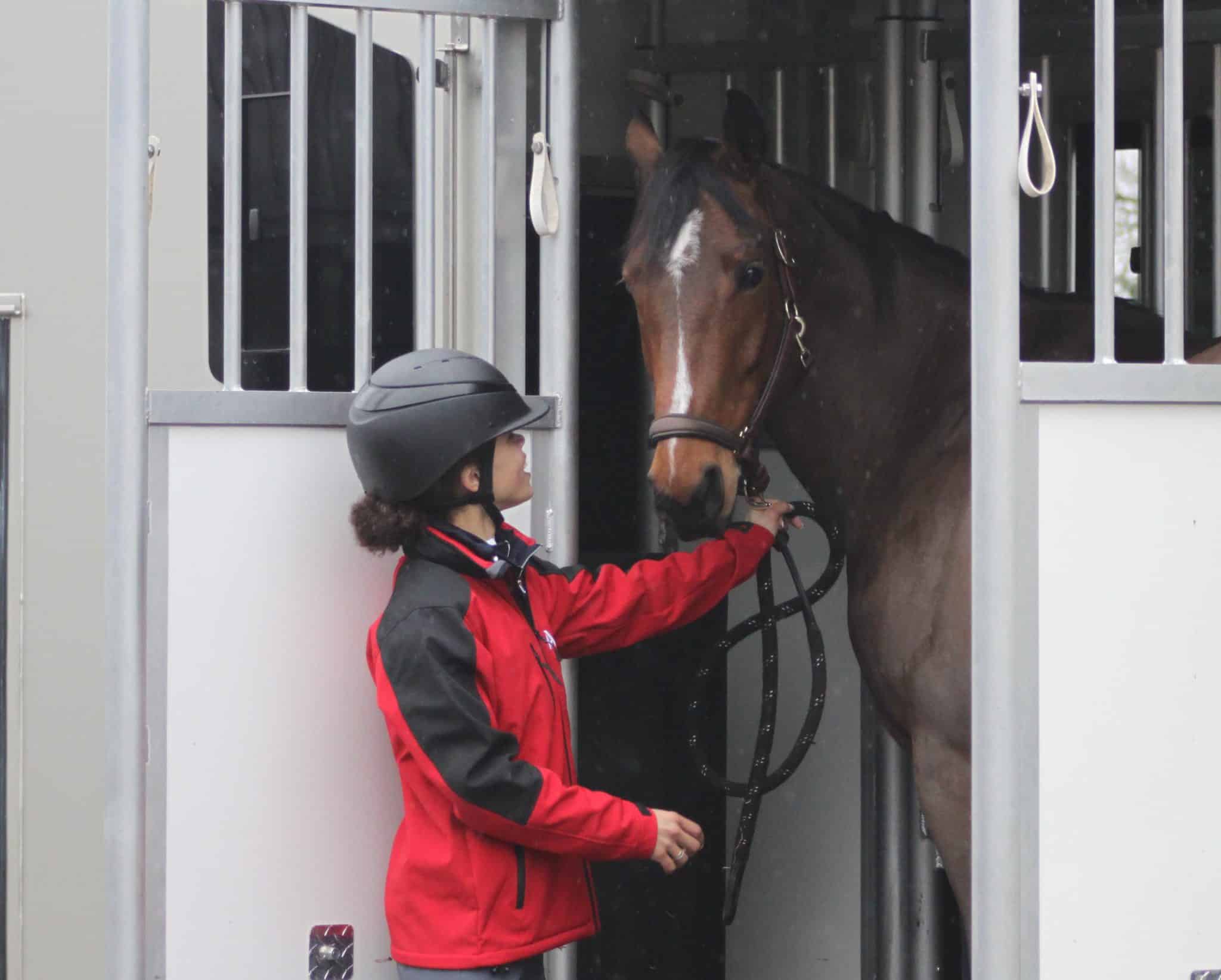 Winter safety reminders for horse owners! | Howden Insurance