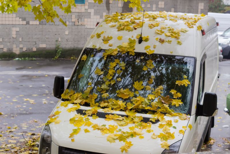 Your van’s essential vitamins this winter! | Howden Insurance